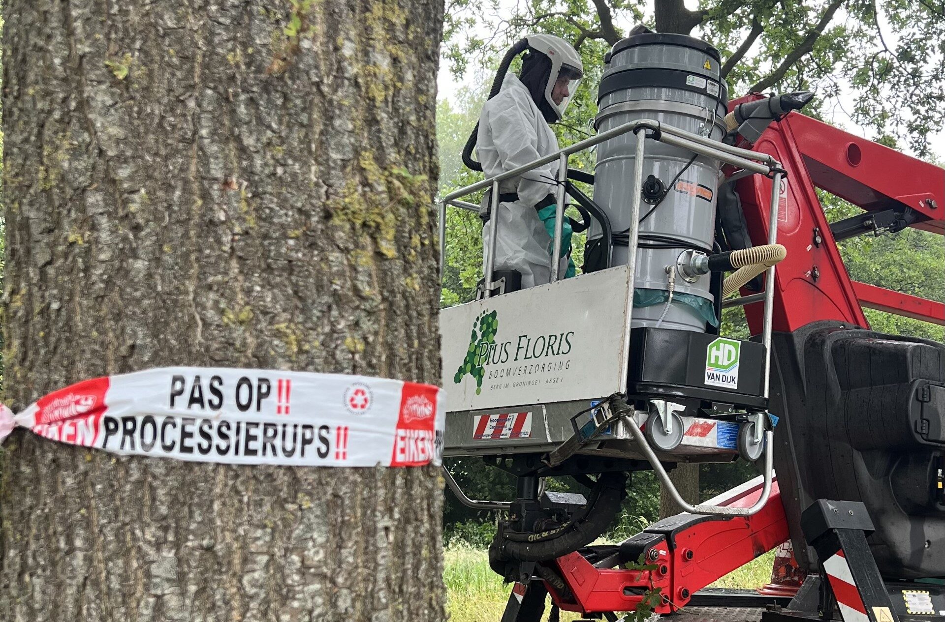 Overdruk masker/kap processierups bescherming - HD van Dijk